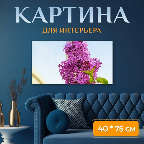 Картина на холсте "Цветы, фиолетовый, весна" на подрамнике 75х40 см. для интерьера