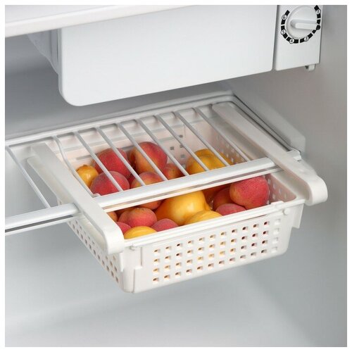 Органайзер для холодильника раздвижной «Лофт», 19,7×20×7,7 см, цвет белый