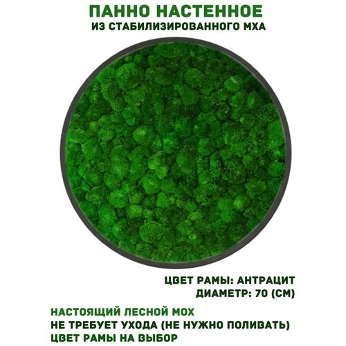 Круглое панно из стабилизированно мха GardenGo в рамке цвета антрацит диаметр 70 см, цвет мха зеленый