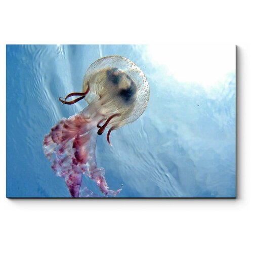 Модульная картина Прекрасная медуза 60x40