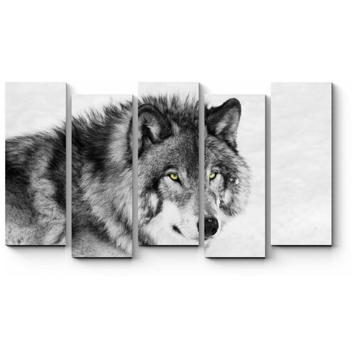 Модульная картина Черно-белый портрет волка 170x98