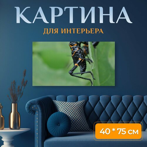 Картина на холсте "Чапулин, кузнечик, насекомые" на подрамнике 75х40 см. для интерьера