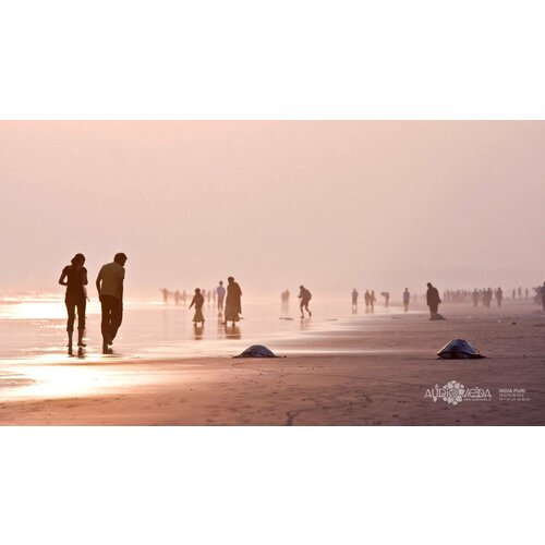 Картина на холсте 60x110 LinxOne "Пляж черепахи море утро" интерьерная для дома / на стену / на кухню / с подрамником
