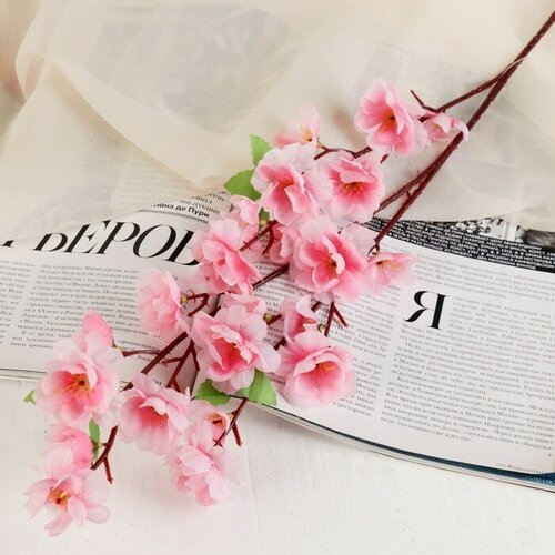 Poetry in flowers Цветы искусственные "Сакура нежность" 65 см d-4,5 см, розовый
