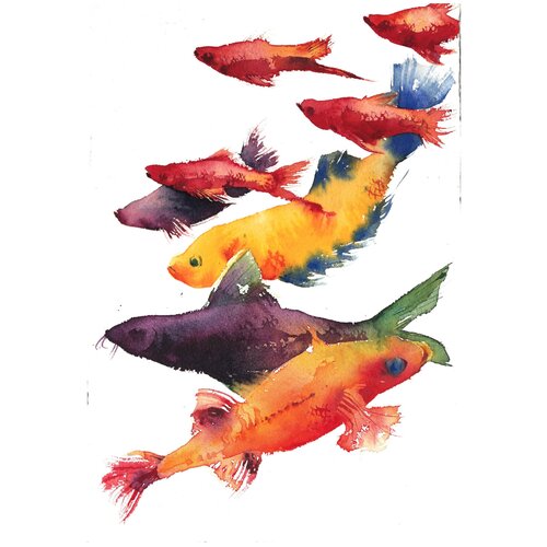 Постер / Плакат / Картина Разноцветные рыбки 40х50 см в подарочном тубусе