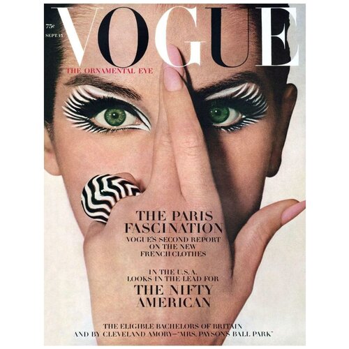 Постер / Плакат / Картина Vogue - Взгляд Зебры 60х90 см в подарочном тубусе