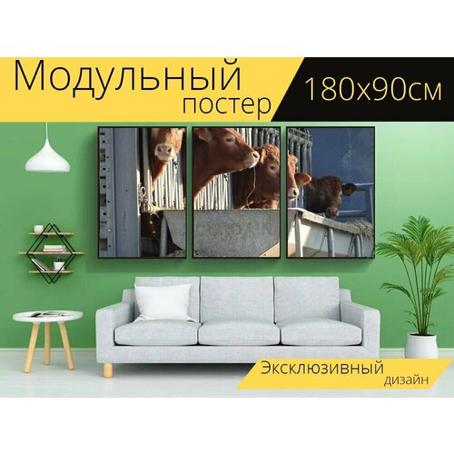 Модульный постер "Коровы, коровников, ферма" 180 x 90 см. для интерьера