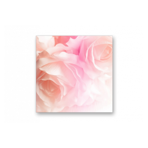 Картина на стекле | Diva Kartina | Цветы. Свежесть розы | 80X80 см | Интерьерный постер