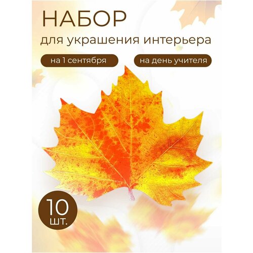 Осенний набор мини плакатов "Кленовый лист", 25 см, 10 шт.