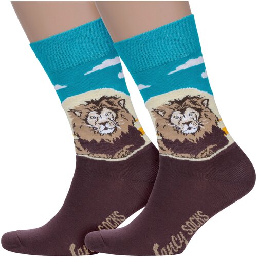 Носки PARA socks, 2 пары, размер 41-45, бирюзовый, коричневый