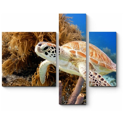 Модульная картина Черепаха, плывущая в коралловом рифе 130x107