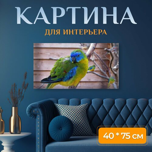 Картина на холсте "Птица, красочный, природа" на подрамнике 75х40 см. для интерьера