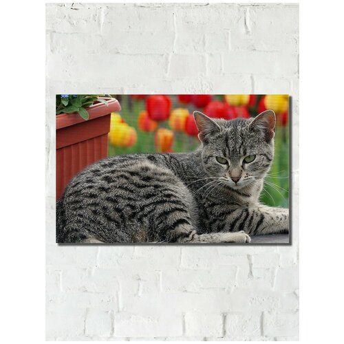 Картина интерьерная на дереве Животные (кот, котик и тюльпаны) - 575