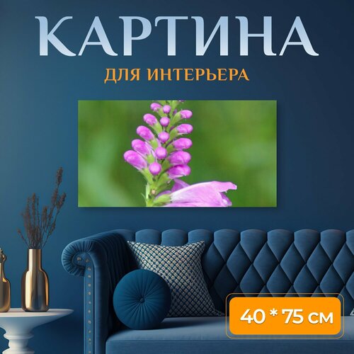 Картина на холсте "Пчела, природа, блум" на подрамнике 75х40 см. для интерьера