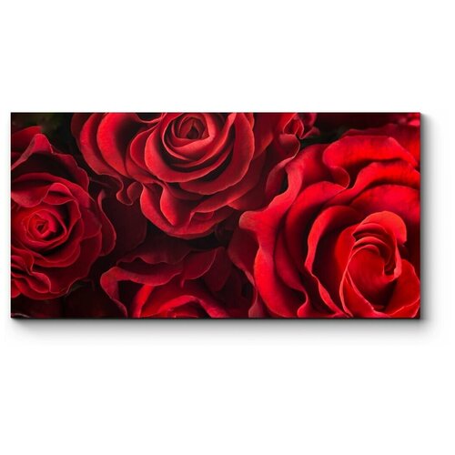Модульная картина Бархатные розы160x80