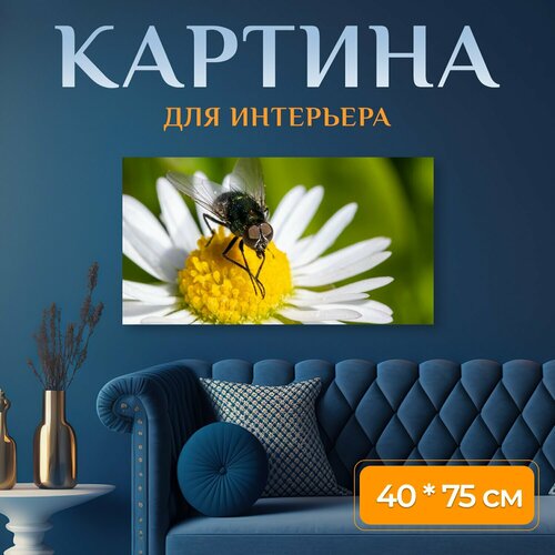 Картина на холсте "Пчела, цветок, белый" на подрамнике 75х40 см. для интерьера