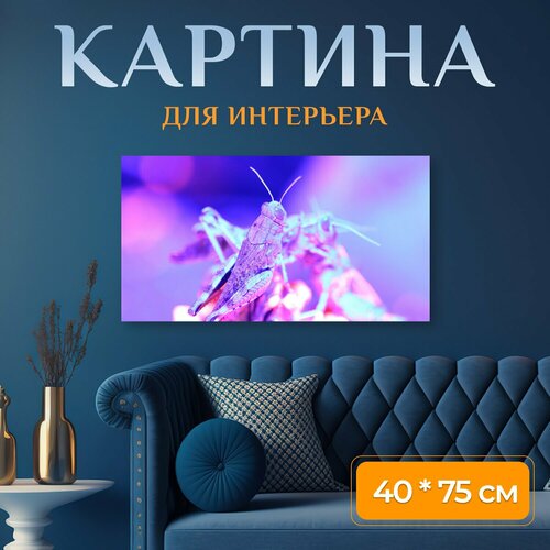 Картина на холсте "Кузнечик, флуоресцентный, насекомое" на подрамнике 75х40 см. для интерьера
