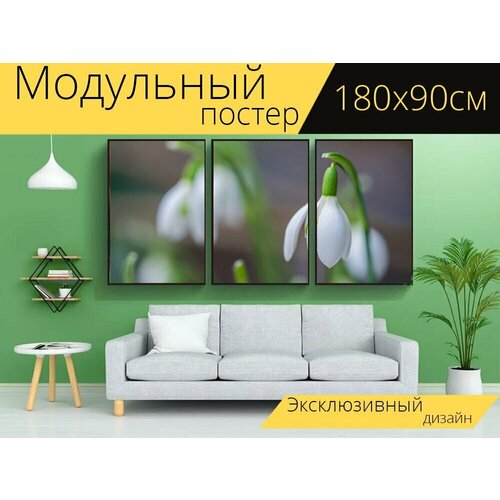 Модульный постер "Подснежник, весна, весенний цветок" 180 x 90 см. для интерьера