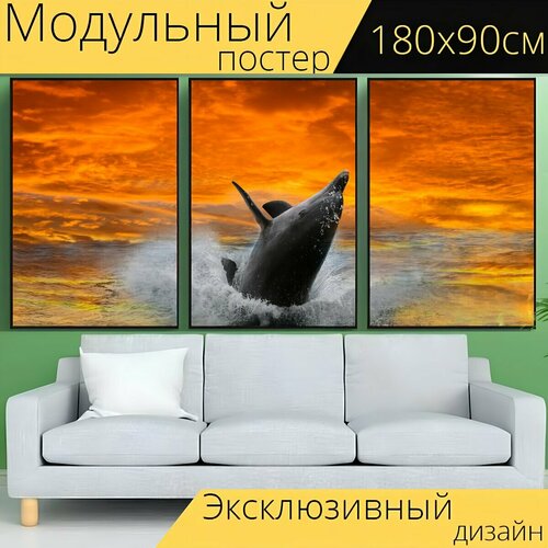 Модульный постер "Животные, млекопитающее, дельфин" 180 x 90 см. для интерьера