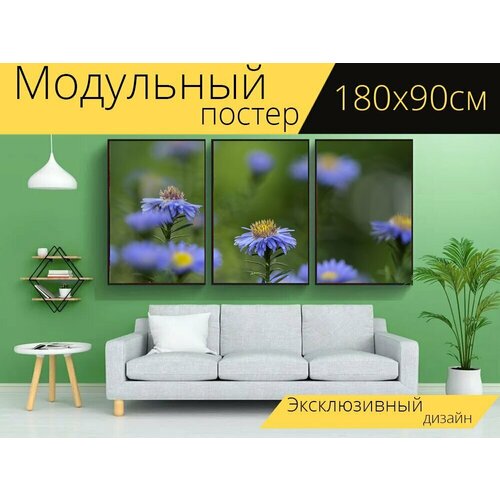 Модульный постер "Астры, цветы, завод" 180 x 90 см. для интерьера