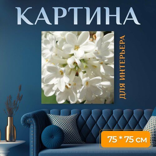 Картина на холсте "Сирень, белый, весна" на подрамнике 75х75 см. для интерьера