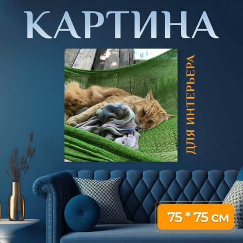 Картина на холсте "Кот, кошка в гамаке, спящая кошка" на подрамнике 75х75 см. для интерьера