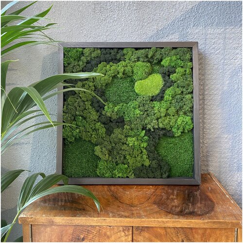 Картина интерьерная "Forest" Дом Мха - MossArt из стабилизированного мха Ягель в подарочной упаковке, 50*50 см.