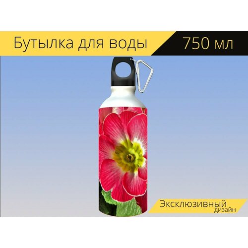 Бутылка фляга для воды "Первоцвет, цветок, завод" 750 мл. с карабином и принтом