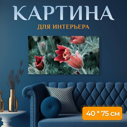 Картина на холсте "Цветы, лепестки, тюльпаны" на подрамнике 75х40 см. для интерьера