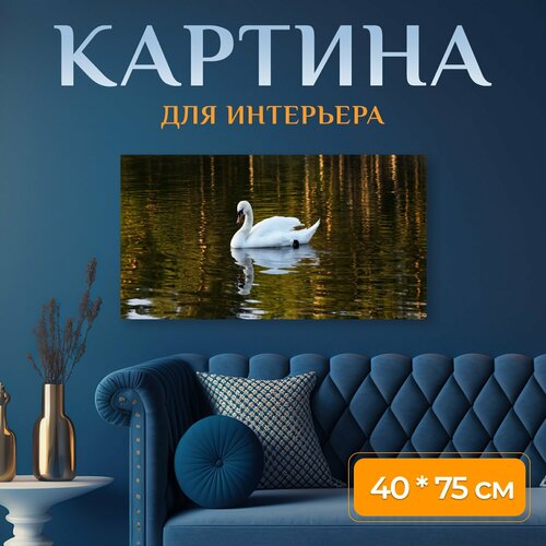 Картина на холсте "Лебедь, птица, озеро" на подрамнике 75х40 см. для интерьера