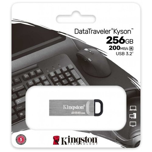 Usb flash Kingston 256Gb DataTraveler