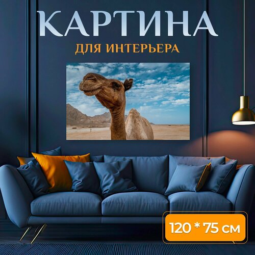 Картина на холсте "Верблюд, пустыня, голубое небо" на подрамнике 120х75 см. для интерьера