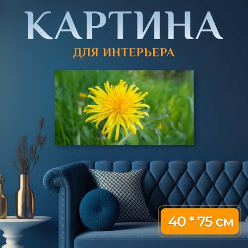 Картина на холсте "Одуванчик, желтый, весна" на подрамнике 75х40 см. для интерьера
