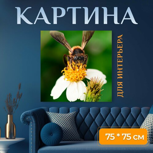 Картина на холсте "Пчела, цветочная пыльца, цветок" на подрамнике 75х75 см. для интерьера