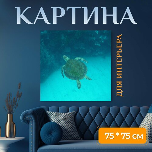 Картина на холсте "Морская черепаха, океан, черепаха" на подрамнике 75х75 см. для интерьера