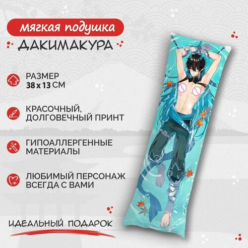 Подушка Дакимакура Honkai Star Rail - Дань Хэн 38 см. арт. B1124