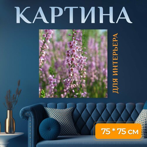 Картина на холсте "Вереск, эрика, цветок" на подрамнике 75х75 см. для интерьера