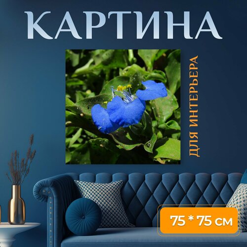 Картина на холсте "Синий, цветок, природа" на подрамнике 75х75 см. для интерьера