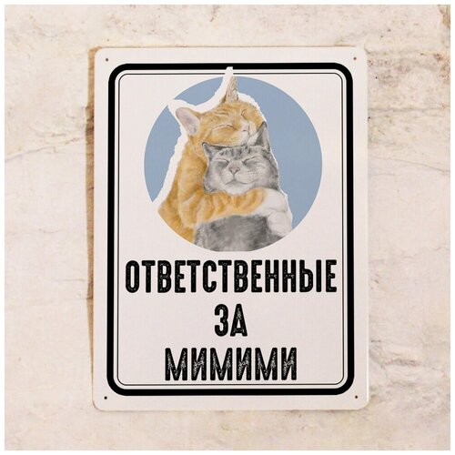 Прикольная металлическая табличка для дома - Коты отвественные за мимими ( рыжий и серый кот), металл, 20х30 см.