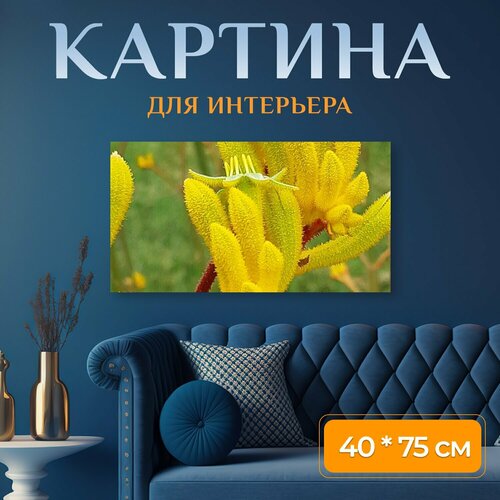 Картина на холсте "Кенгуру коготь, жёлтый, весна" на подрамнике 75х40 см. для интерьера