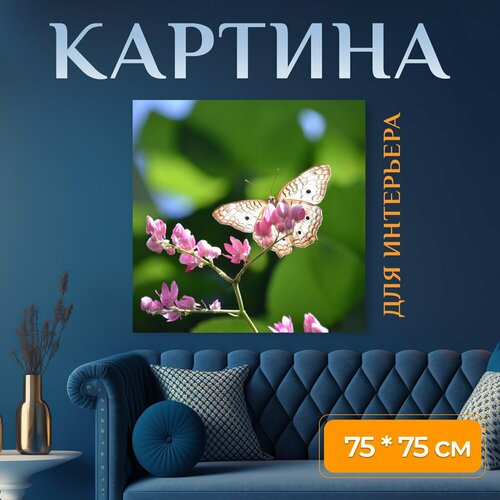 Картина на холсте "Бабочка, розовый цветок, природа" на подрамнике 75х75 см. для интерьера