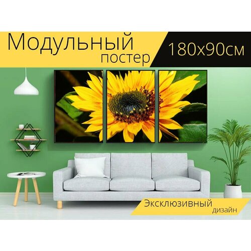 Модульный постер "Подсолнух, цвести, желтый" 180 x 90 см. для интерьера