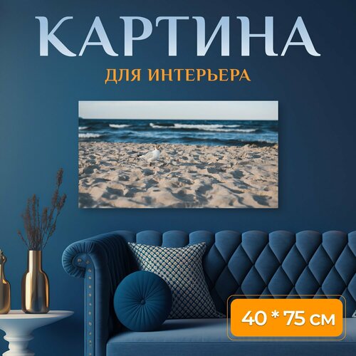 Картина на холсте "Озёрная чайка, песок, пляж" на подрамнике 75х40 см. для интерьера