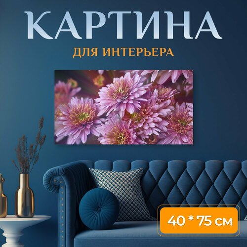 Картина на холсте "Хризантемы, казаться, букет цветов" на подрамнике 75х40 см. для интерьера