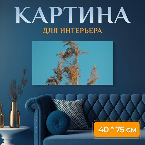 Картина на холсте "Тростник, небеса, летом" на подрамнике 75х40 см. для интерьера