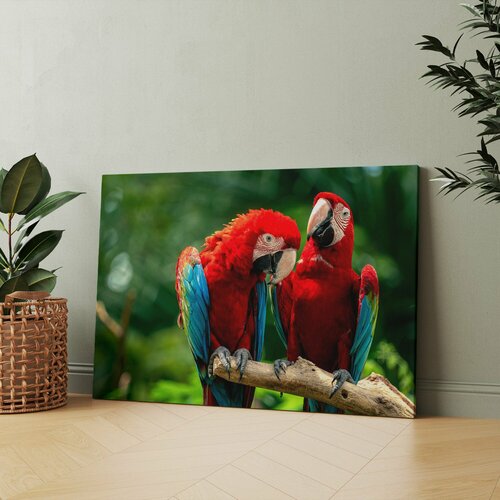 Картина на холсте "Два красных и синих попугая сидят на ветке дерева" 60x80 см. Интерьерная, на стену.