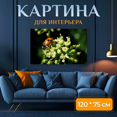 Картина на холсте "Божья коровка, насекомое, петрушки цветок" на подрамнике 120х75 см. для интерьера