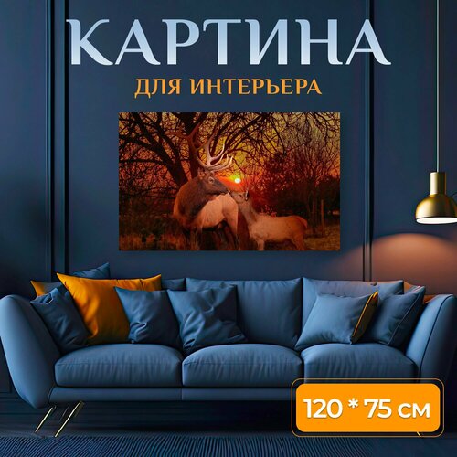 Картина на холсте "Лось, заход солнца, природа" на подрамнике 120х75 см. для интерьера