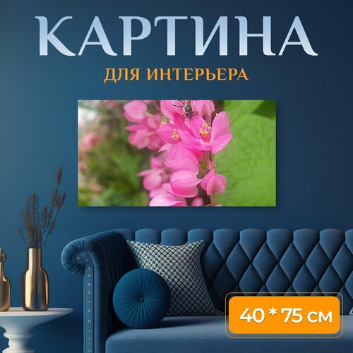 Картина на холсте "Цветок, розовые цветы, цветы таиланд" на подрамнике 75х40 см. для интерьера