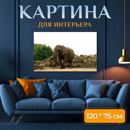 Картина на холсте "Слон, зоопарк, природа" на подрамнике 120х75 см. для интерьера